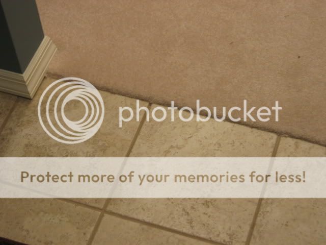 anyone have a room that is part tile/part carpet